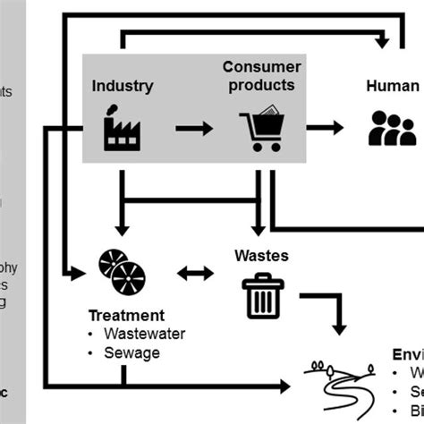 Release And Exposure Pathways Of Pfas In The Environment And Humans Download Scientific