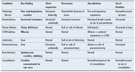 Respiratory Basicmedical Key