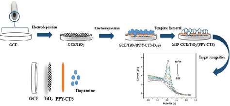 Figure 1 From Imprinted Dopamine Sensor Optimised By An Artificial Neural Network Ann