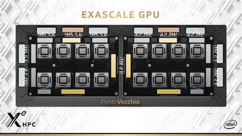 Intel Showcases Its Packaging Prowess With 7nm Ponte Vecchio Xe Hpc Gpu