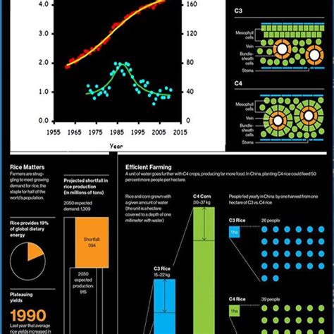 The Graph Shows How Average Increase Has Increased But Average Yearly