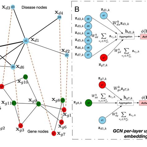 PDF PGCN Disease Gene Prioritization By Disease And Gene Embedding Through Graph