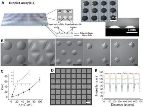 Superhydrophilic Superhydrophobic Patterned Surfaces For Preparing Download Scientific Diagram
