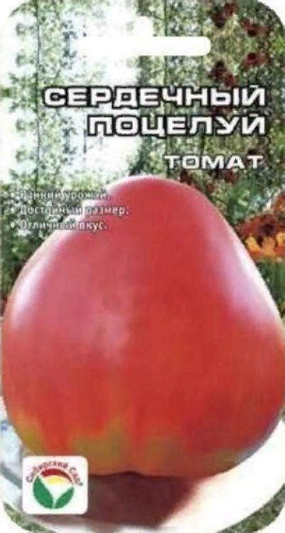 Золотая сотка алтая