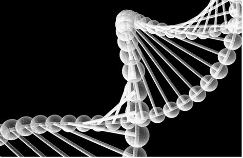 Biometric Technologies Of The Future Dna Recognition Keesing Platform