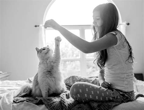 Test Codes For Fecal Dx Antigen Testing IDEXX US