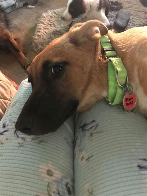 Ruby Ann Magsr 2022 Magsrorg