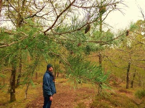 Dans Les Bois De Châtel Guyon Le Blog De Béatrice Plasse