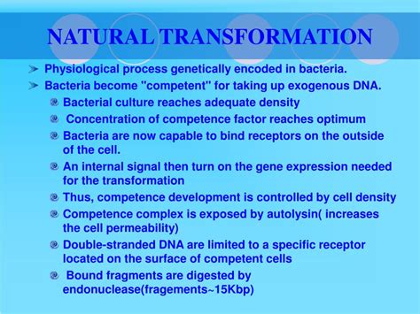 Ppt Transformation Powerpoint Presentation Free Download Id3996533