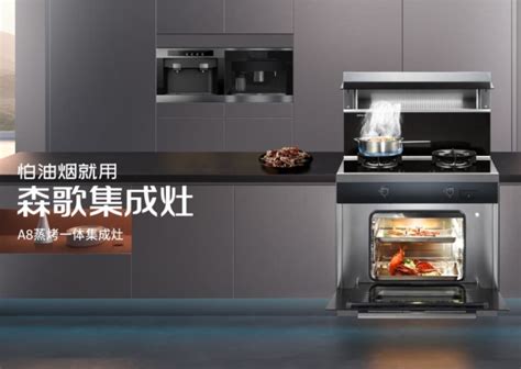 揭秘2021集成灶品牌全国前十名排行都有哪些？ 品牌之家