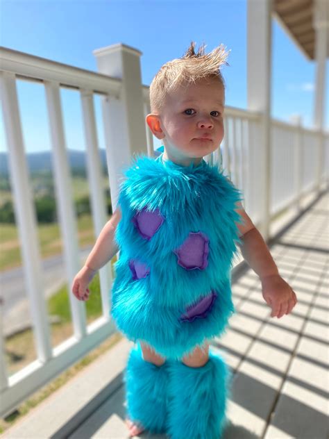 Disney Sully Costume Monsters Inc