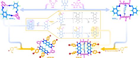 Schematic Representation Of The Synthesis Of The Supramolecular Amine
