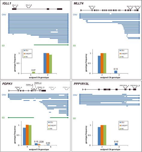 Detailed Characteristics Of All Polymorphic Genes Identified In This