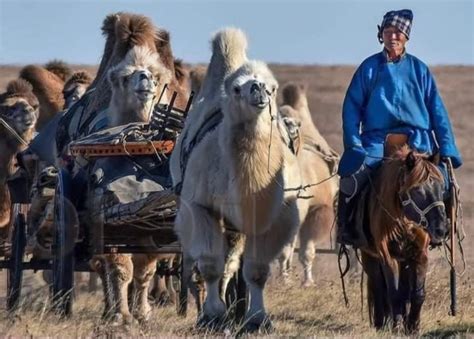 Гавьяат малчин Д Дашзэвэгт Хөдөлмөрийн баатар цол хүртээлээ