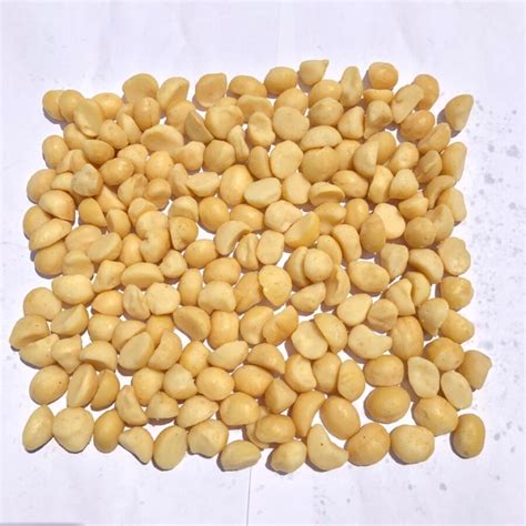 Macadamia Raw Nuts MyKibo