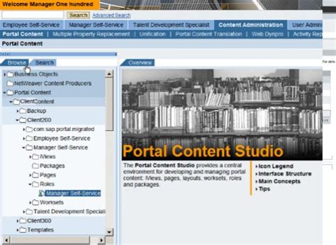 Ess Mss Multi Client Configuration Part1 Sap Community