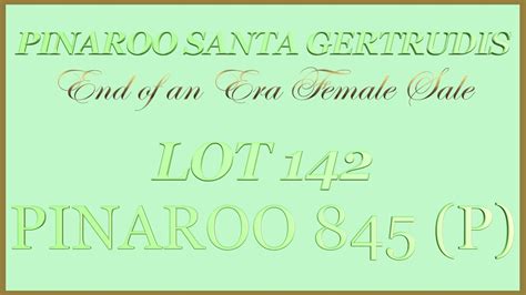 Lot 142 Pinaroo 845 P Youtube