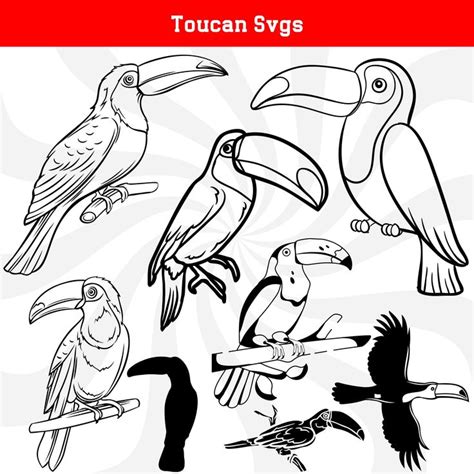 Tocan Svg Bundle Toucan Silhouette Bird Svg Cute Toucan Toucan Cut