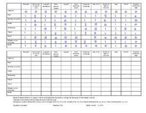 Corrected Matrix For Lab Corrected Coded Matrix Babe Score ATTACH TO YOUR