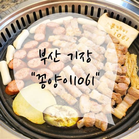 [산리오 캐릭터즈] 폼폼푸린 시나모롤 포챠코 오므라이스 색칠 따라그리기 도안