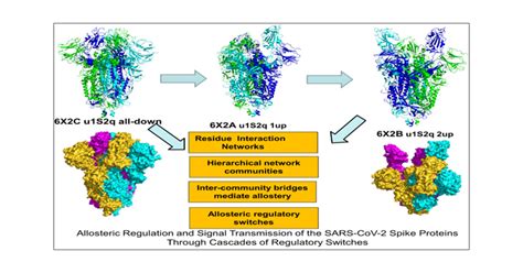 Dynamic Network Modeling Of Allosteric Interactions And 51 Off
