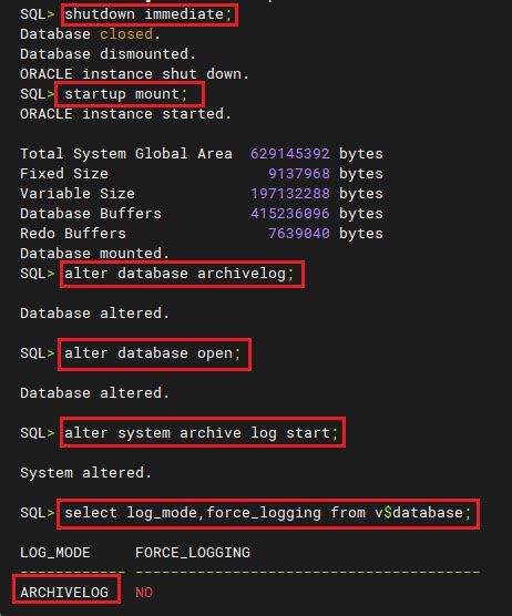 oracle 19c dataguard配置 oracle 19c dg csdn博客