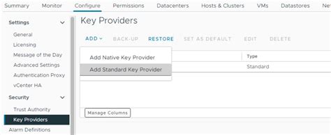 VCenter Server Key Provider Migration Blag Scamall