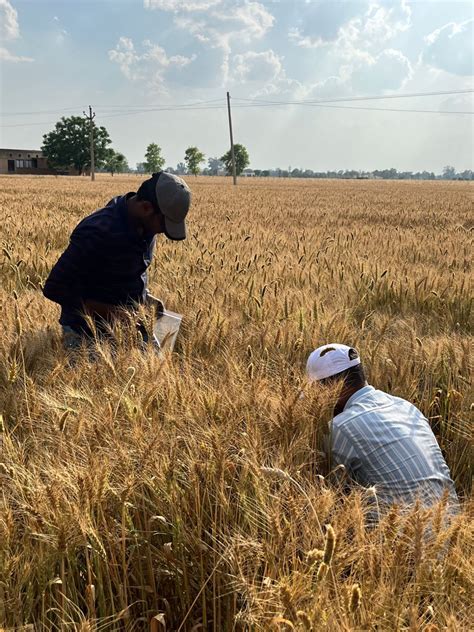 Bharat Kiroriwal On Linkedin Harvestseason Sustainable Agriculture