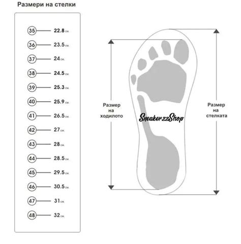 Мъжки маратонки Dolce And Gabbana