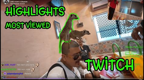 MOST VIEWED Twitch Clips Monkey SEX Oh Head YouTube