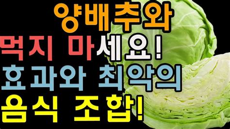 양배추와 절대 함께 먹지 마세요 이런 사람에게는 독 전문가가 말하는 양배추의 해독 효과와 최악의 음식 조합 Youtube