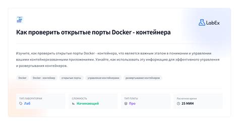 Как проверить открытые порты Docker контейнера Labex