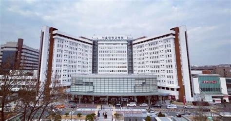 오늘20일 전공의들 업무 중단 본격화정부 진료유지명령발령