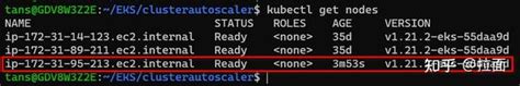 aws eks 集群自动扩容 cluster autoscaler 知乎