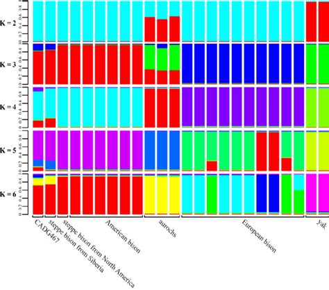 Genetic Structure Of Extinct And Extant Bison Aurochs And Yak Using Download Scientific