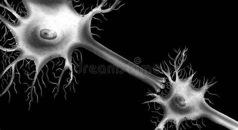 Branching Neurons Stock Illustrations 102 Branching Neurons Stock Illustrations Vectors