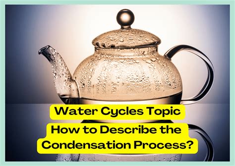 Past Year Psle Science Analysis The Science Shifu