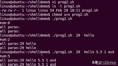 Shell编程的基本过程及应用编程 Linux命令大全手册
