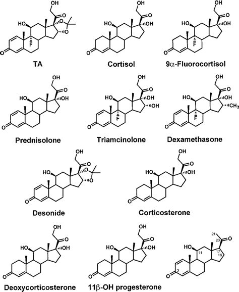 Structure Of Steroid