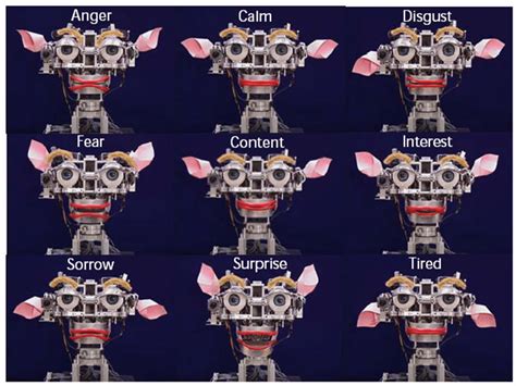 Nine Of The Facial Expressions That Breazeals Kismet Robot Is Capable