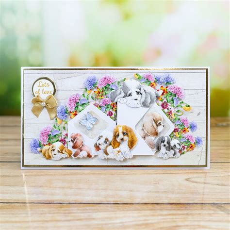 Craft Master Small Nested Envelopes Die Set Highlight Crafts