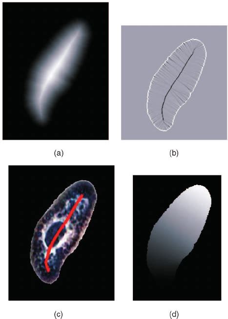 intermediate steps of the deformation inversion process of section 5 1 download scientific