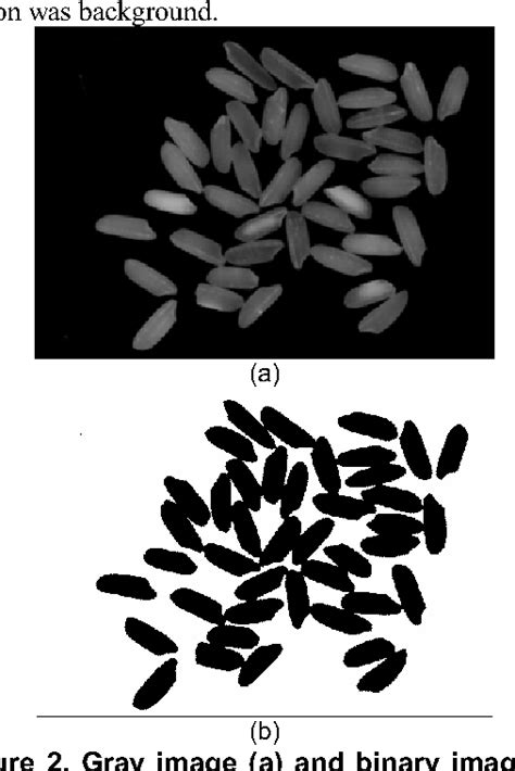 Figure 2 From An Automatic Segmentation Algorithm For Touching Rice