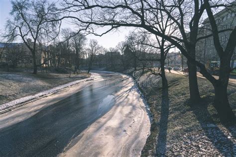 Naked Tree Branches In Late Autumn With No Leaves Vintage Retro Film Look Stock Image Image