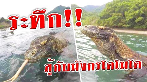 ระทึก เมื่อช่างภาพหนุ่มต้องสู้กับมังกรโคโมโด ที่จะพยายามขึ้นเรือของเขา มีคลิป