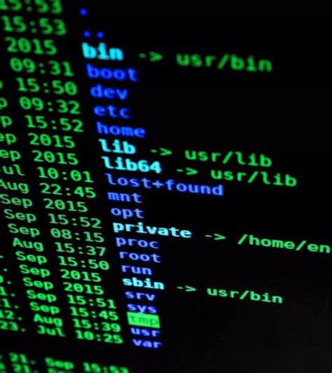 Rutas Relativas Y Rutas Abolutas Soy Linux