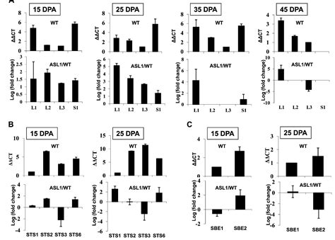 Expression Profile Of Sagpase Genes In Wild Type And Asl1
