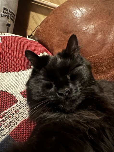 Feeling Cute Might Delete Idk Album On Imgur