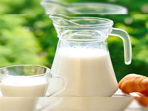 Tips To Identify Pure Milk Adulterated Milk Adulterated Milk मिलावटी