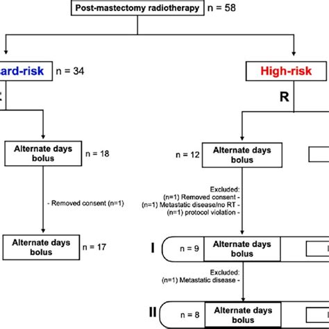 Consort Diagram Risk Stratification Before Randomizations Standard Download Scientific